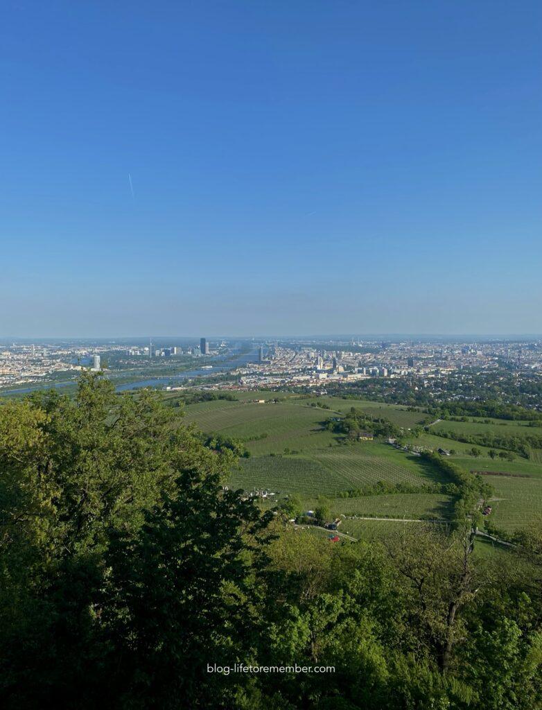 How to Plan the Perfect Vienna Wine Hike - blog-lifetoremember